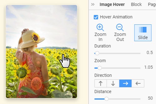 How to apply the Slide effect to Image Background Hover Animation ...
