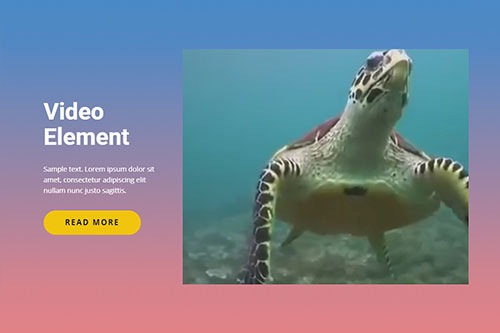 How to use the Video element in web design - Nicepage Help Center