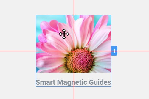 How to use the Smart Magnetic Guides while building websites visually ...
